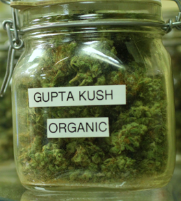 Gupta Kush! Win Weed! Deals!