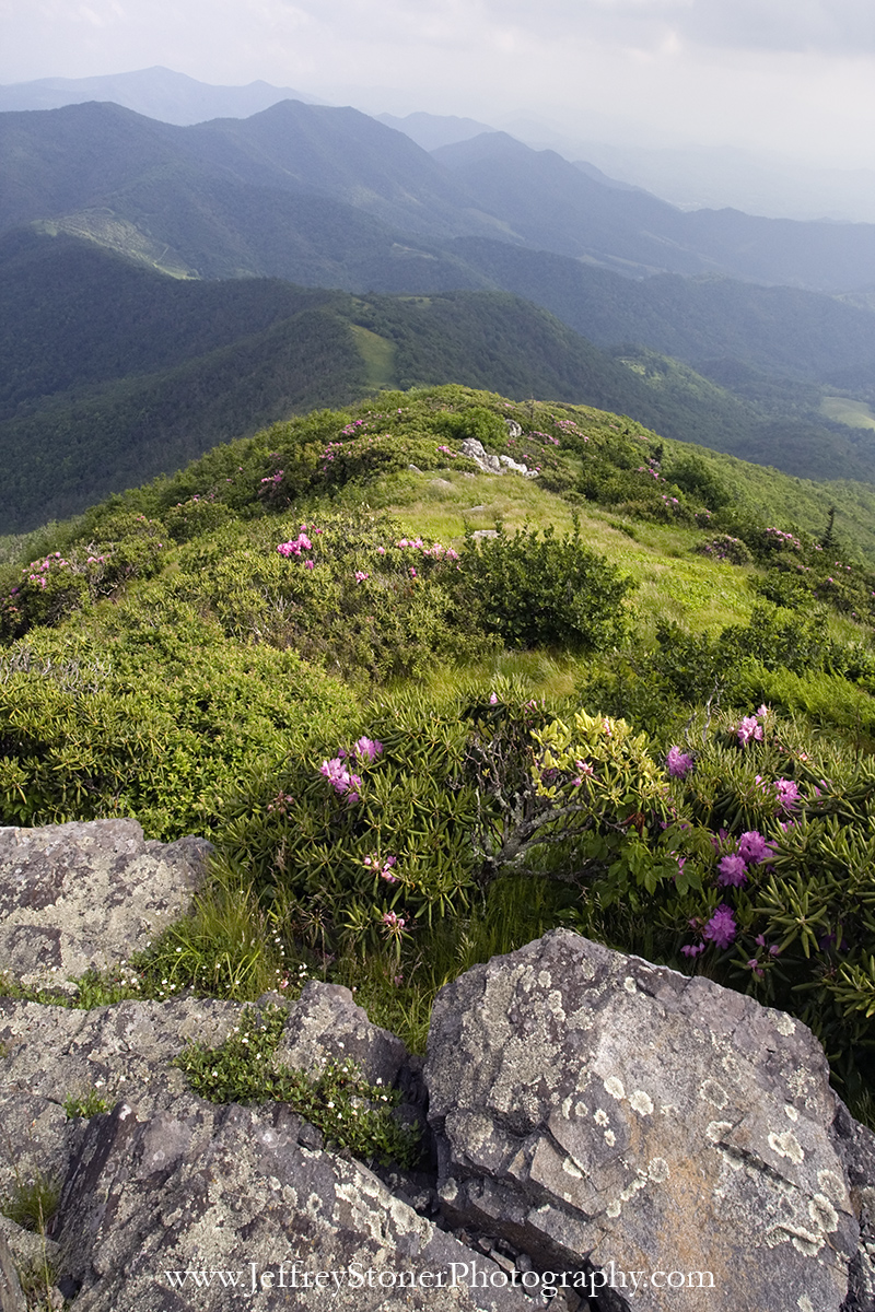 At the End of the Trail - Roan Mountain Highlands