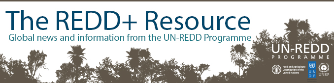 The REDD+ Resource Feb-March 2016 -- global news and information from ...