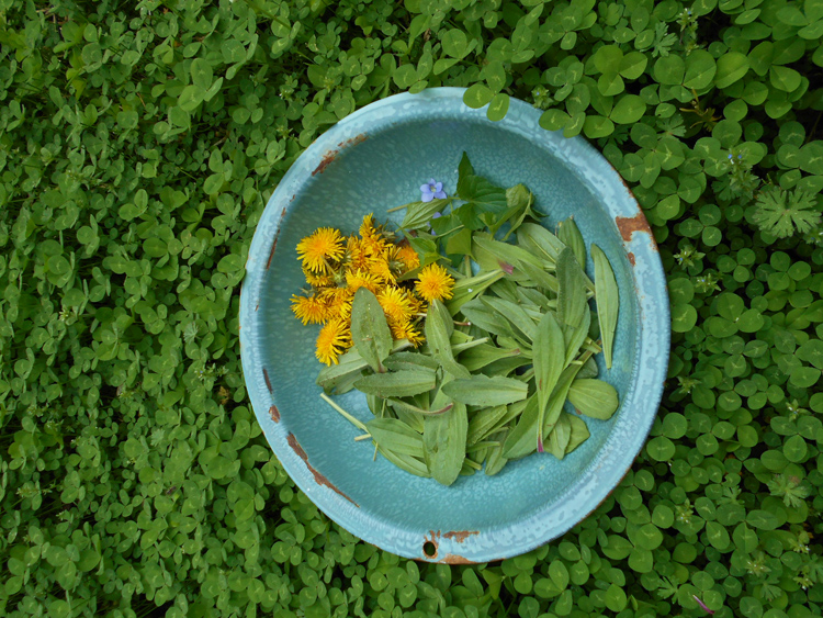 savor spring with these ideas