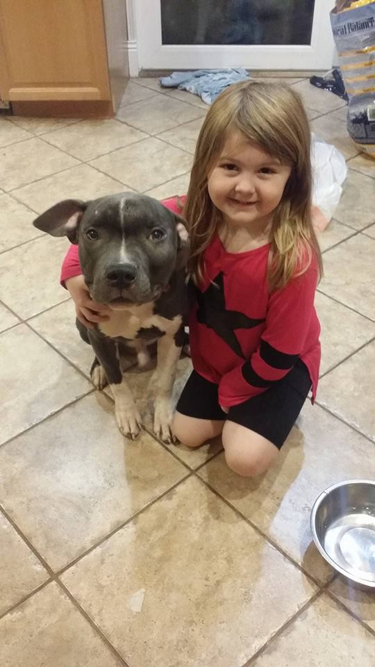 The Rock & Rawhide Tail Waggler - Clark Kent's Battle with Kryptonite ...