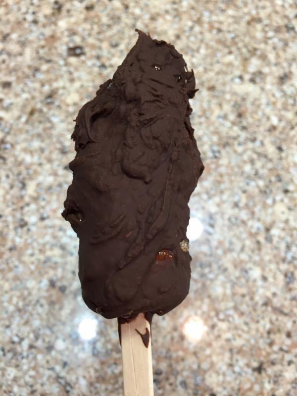 The Scoop on Poop - Watershed Defenders Kids Club