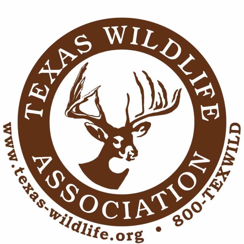 Texas Brigades: June Silver Bulletin