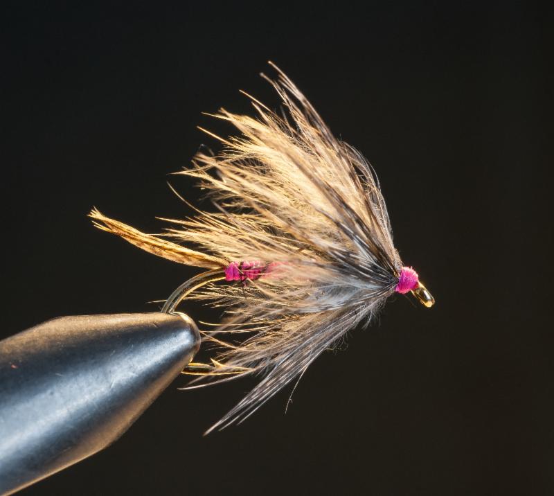News from Blue Ribbon Flies
