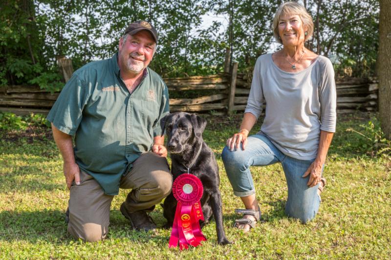 Retriever Results - What's News - Field Trials - August 4, 2015