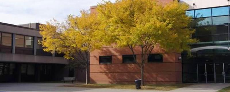 Welcome to 6th grade at Hommocks Middle School