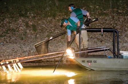 MDC electrofishing at night.