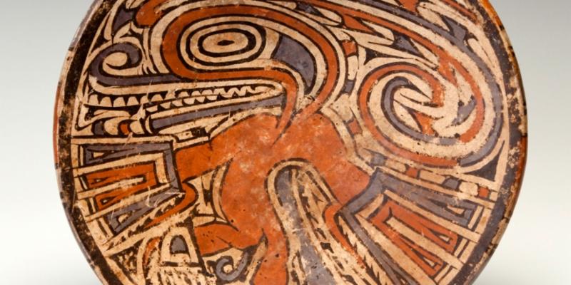 Curly African Black Shedua