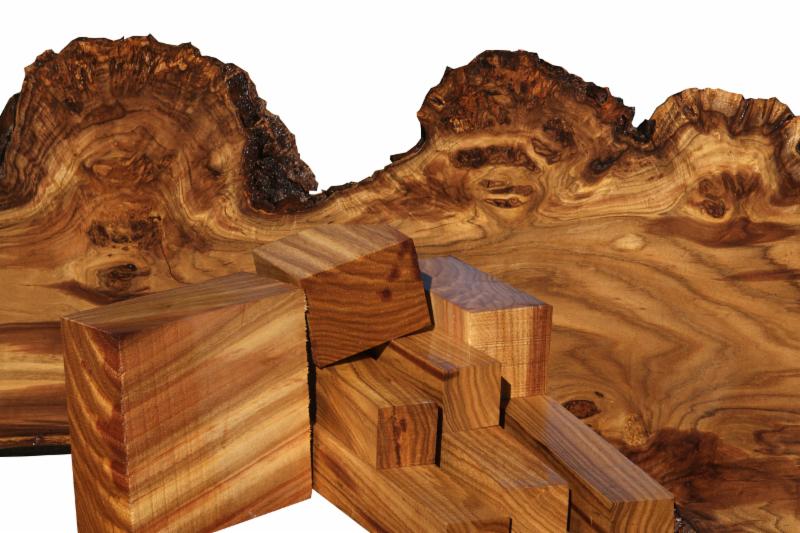 Curly African Black Shedua