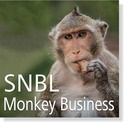 SNBL USA Prepares for Fall Kick Off!