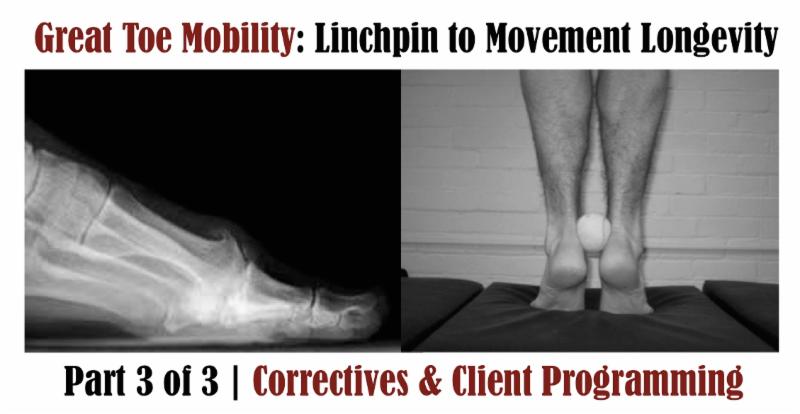 GREAT TOE MOBILITY | Linchpin to Movement Longevity | EBFA Blog Series