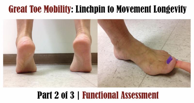 GREAT TOE MOBILITY | Linchpin to Movement Longevity | EBFA Blog Series