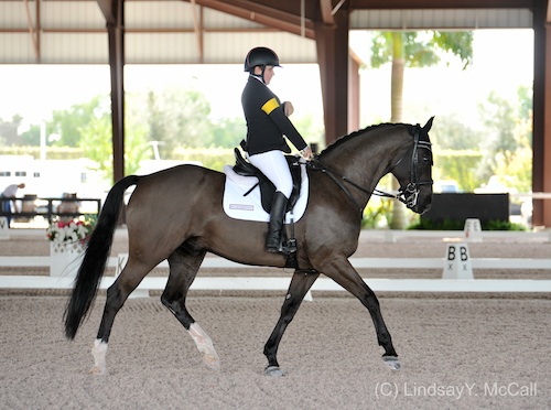 2016 Adequan Global Dressage Festival Announces Expanded CPEDI Para ...