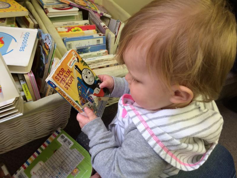 Programs and Events at Tredyffrin Libraries