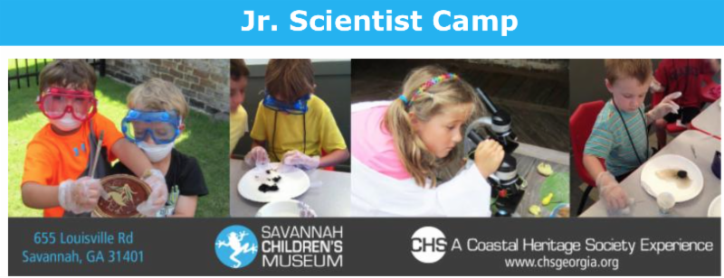 Southern Mamas » Blog Archive » Savannah Science, Archaeology & Train ...