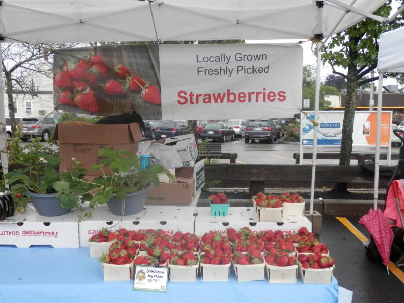 News from the Needham Farmer's Market!