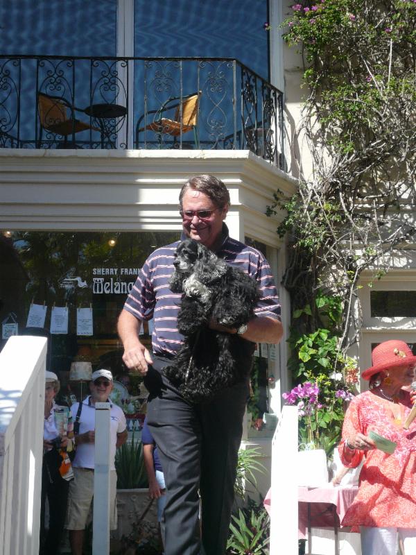 News from America's Top Dog Model (R)