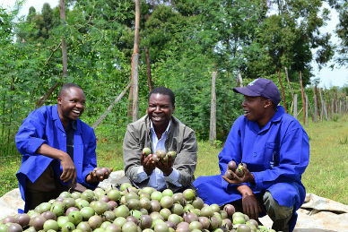 Feed the Future works with farmers like Geoffrey Nyamota, of the Kenya ...