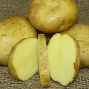 Plant Like a Pioneer: Grow Potatoes