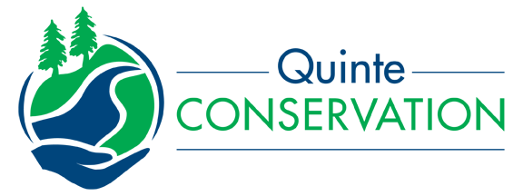 QuinteSourceWater.ca