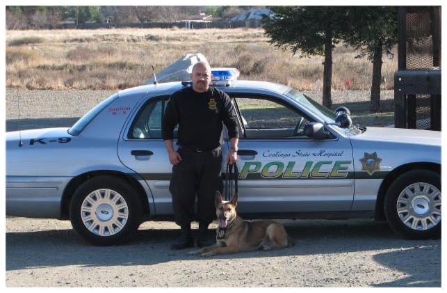 Coalinga State Hospital Police K-9 Arco Undergoing Surgery at UC Davis