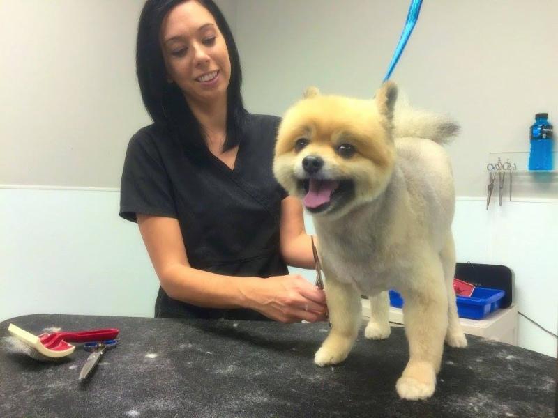 Grooming Newsletter