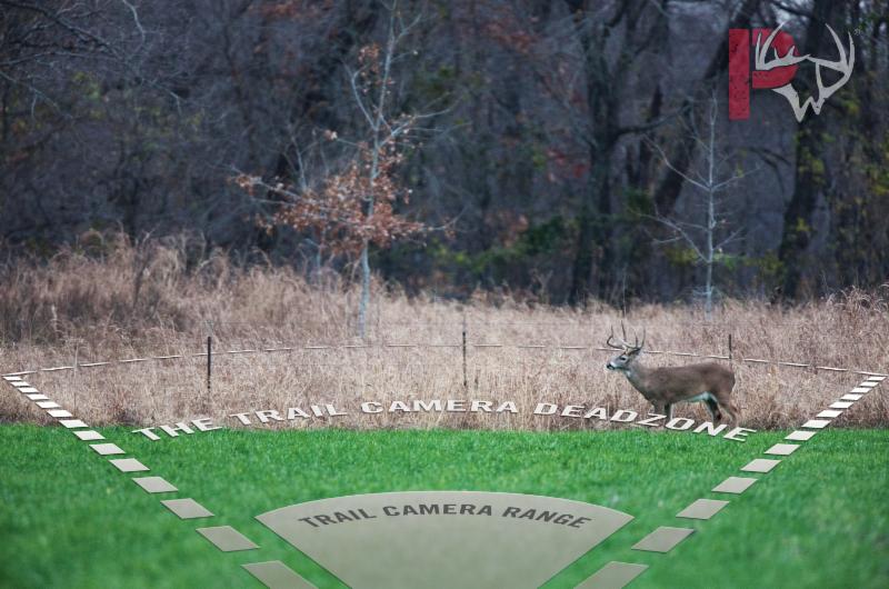 PlotWatcher Pro Eliminates the Trail Camera Dead Zone - 24hourcampfire