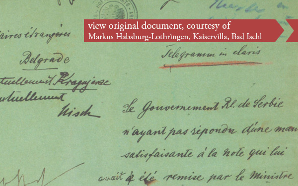 'Understanding the Great War' - Issue #1: Why Did the War Begin?