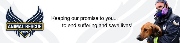 More than 140 animals saved in 3 days. You can help!