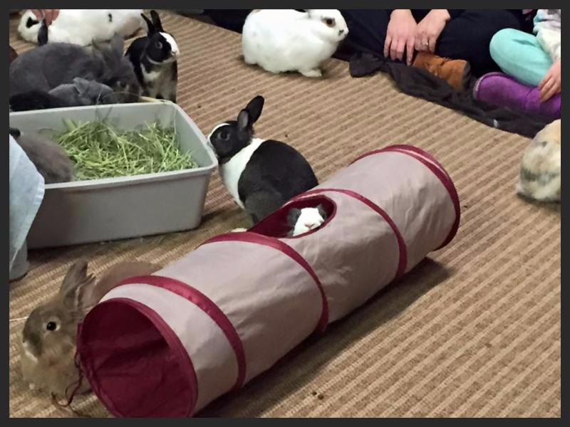 Weekly Update 20 February 2016