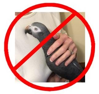 Feburary News from the Birds of CPR