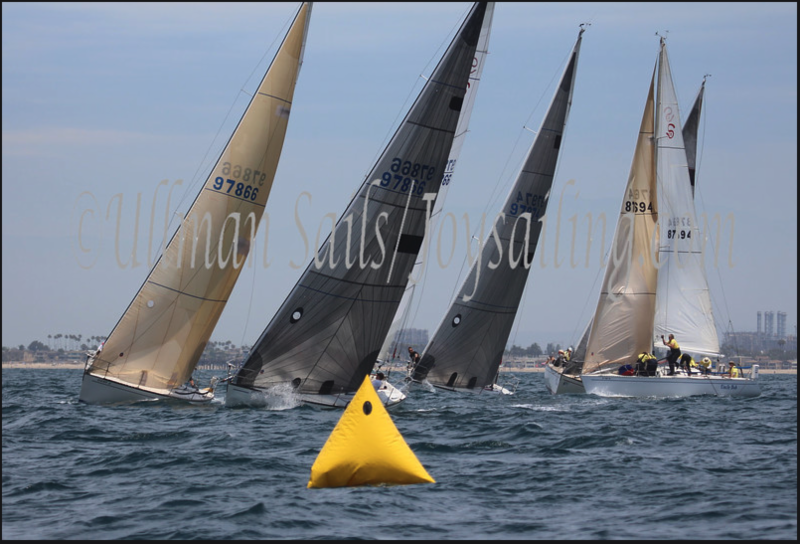 Schock 35s Dominate LBRW