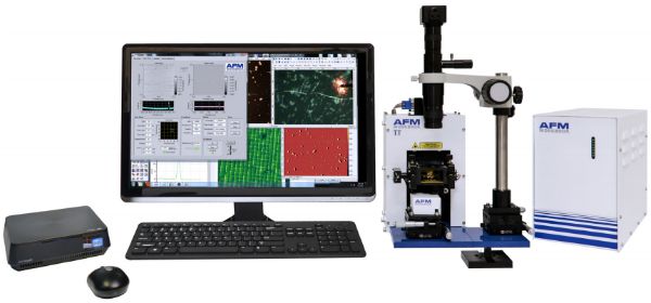AFM Research: Natural Products and Microbiology