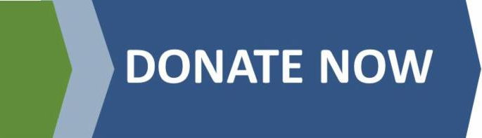 Turner's Peter Davoren and environmentalist John Cronin inspire MSEM ...