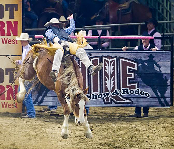 Billings, MT-- The 2015 NILE is Oct. 10-17 with four rodeo performances ...