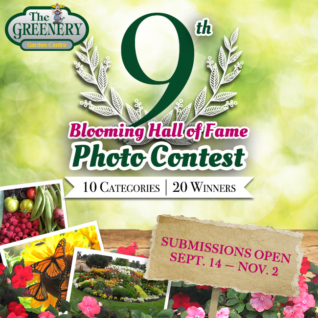 Flower Photo Contest - Enter Now! | The Greenery Garden Centre