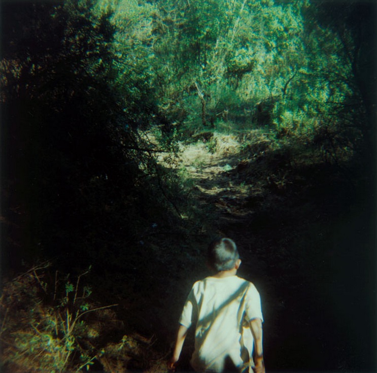 OPENING THIS FRIDAY: AMY BLAKEMORE + FORREST PRINCE