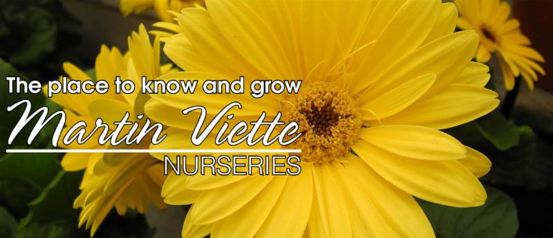 Easter & Passover Greetings; Spring has Sprung!